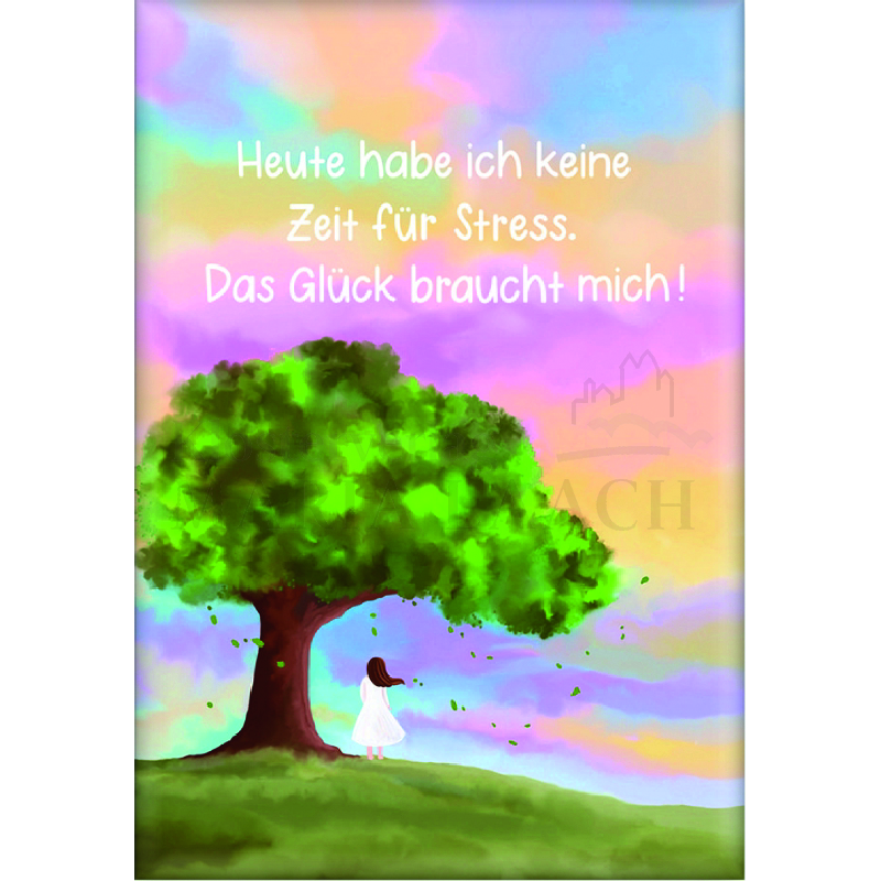 Magnet "Heute hab ich keine Zeit...", 8 x 5 cm" 576003 -576003